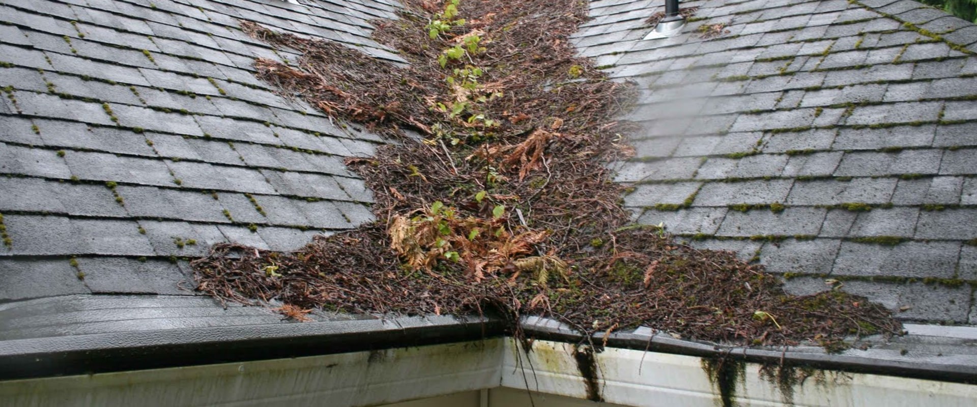 The Top Causes of Roof Failure and How to Prevent Them: An Expert's ...